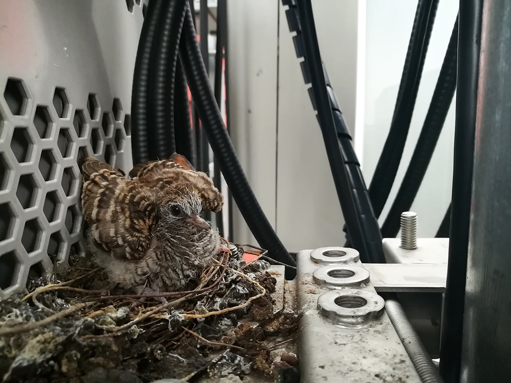 Frequently Asked Air Conditioning Service Questions - Minuteman Heating ...